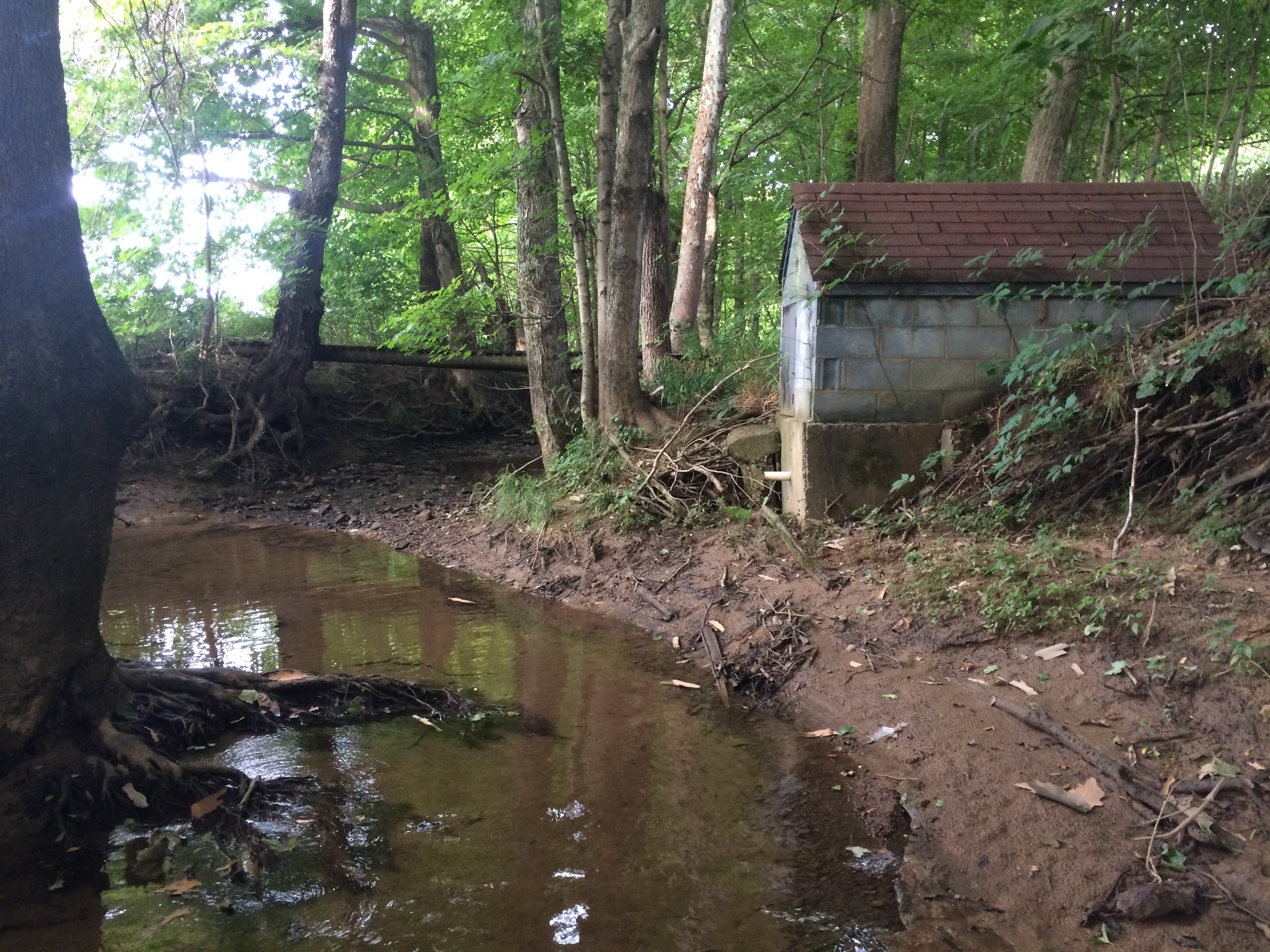 Where are we going? – Living Water Ranch Online